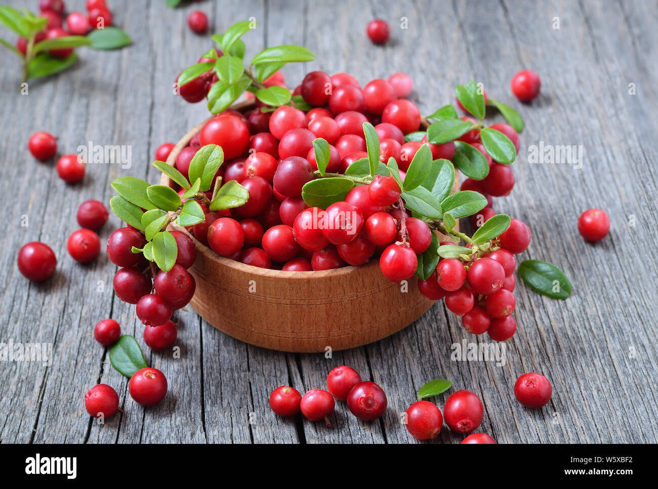 Cranberries in nature hi-res stock photography and images - Alamy