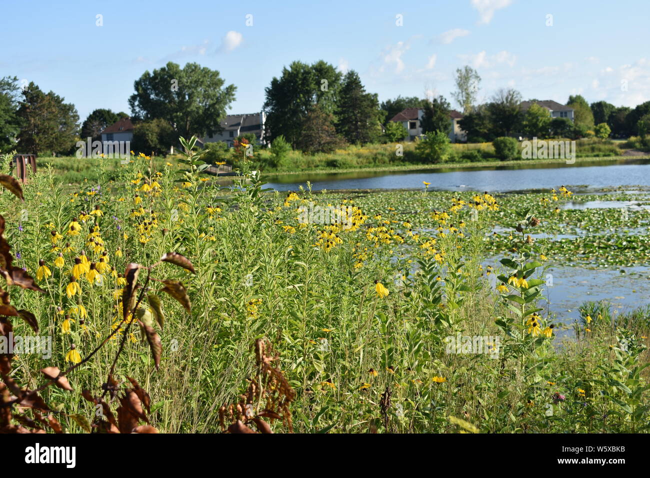 Midwestern nature hi-res stock photography and images - Alamy