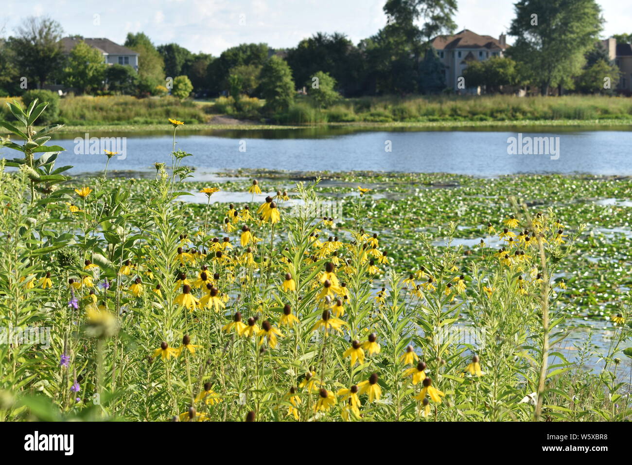 Nature landscape wildlife hi-res stock photography and images - Alamy
