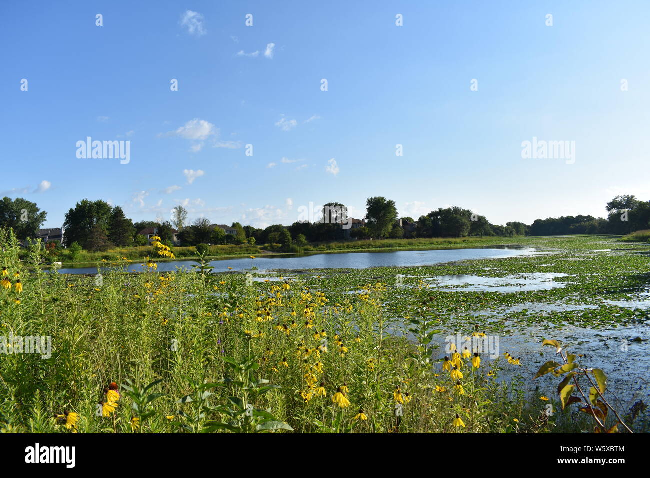Midwestern flowers hi-res stock photography and images - Alamy