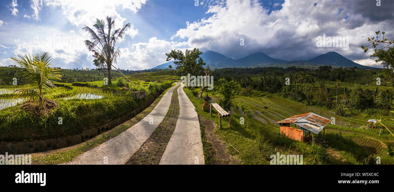Beautiful countryside road in indonesia hi-res stock photography and ...