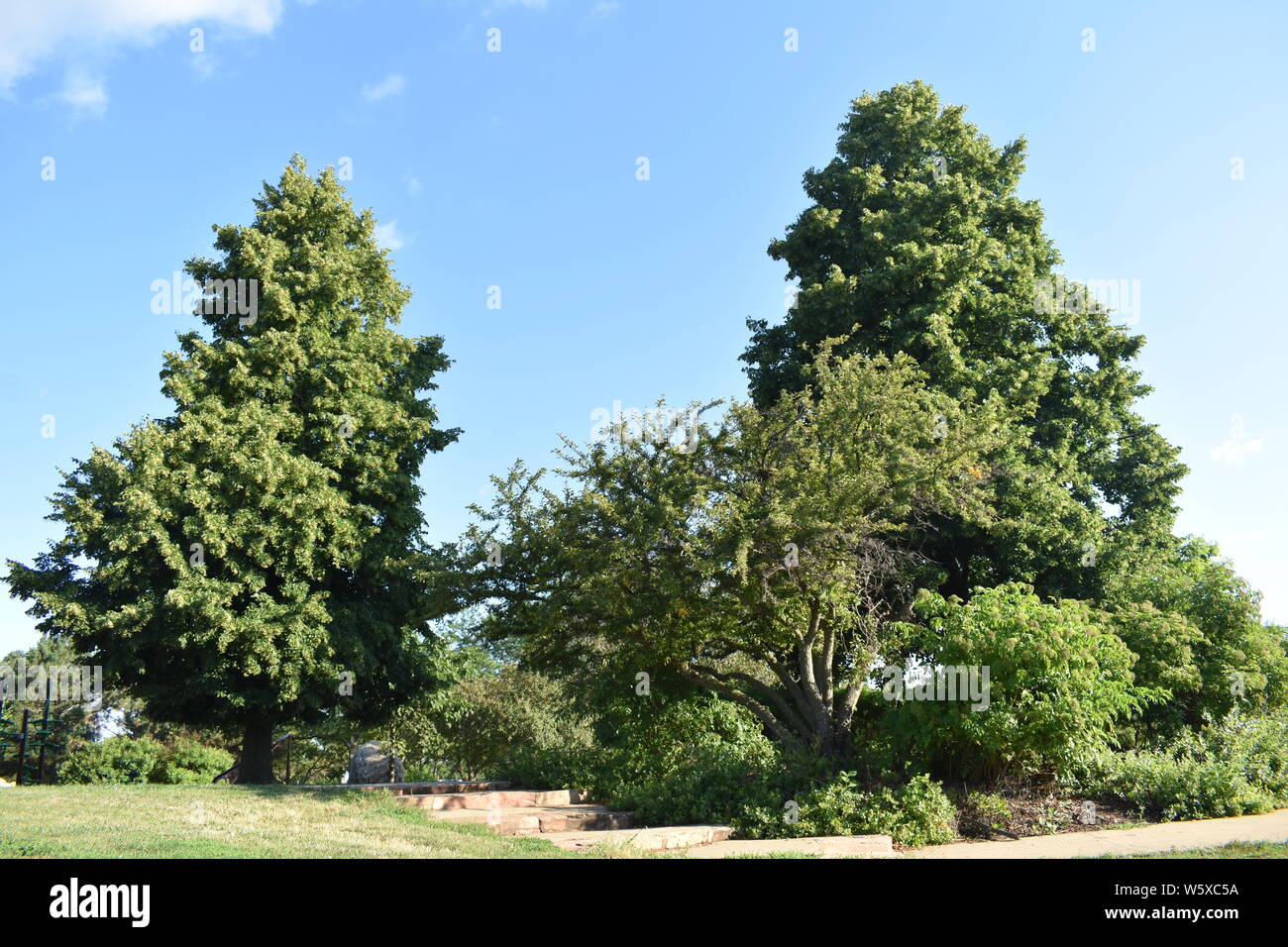 Waubonsie lake park hi-res stock photography and images - Alamy