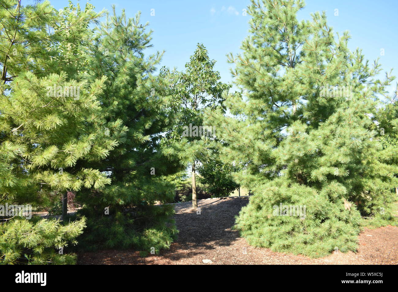 Waubonsie Lake Park Stock Photo - Alamy