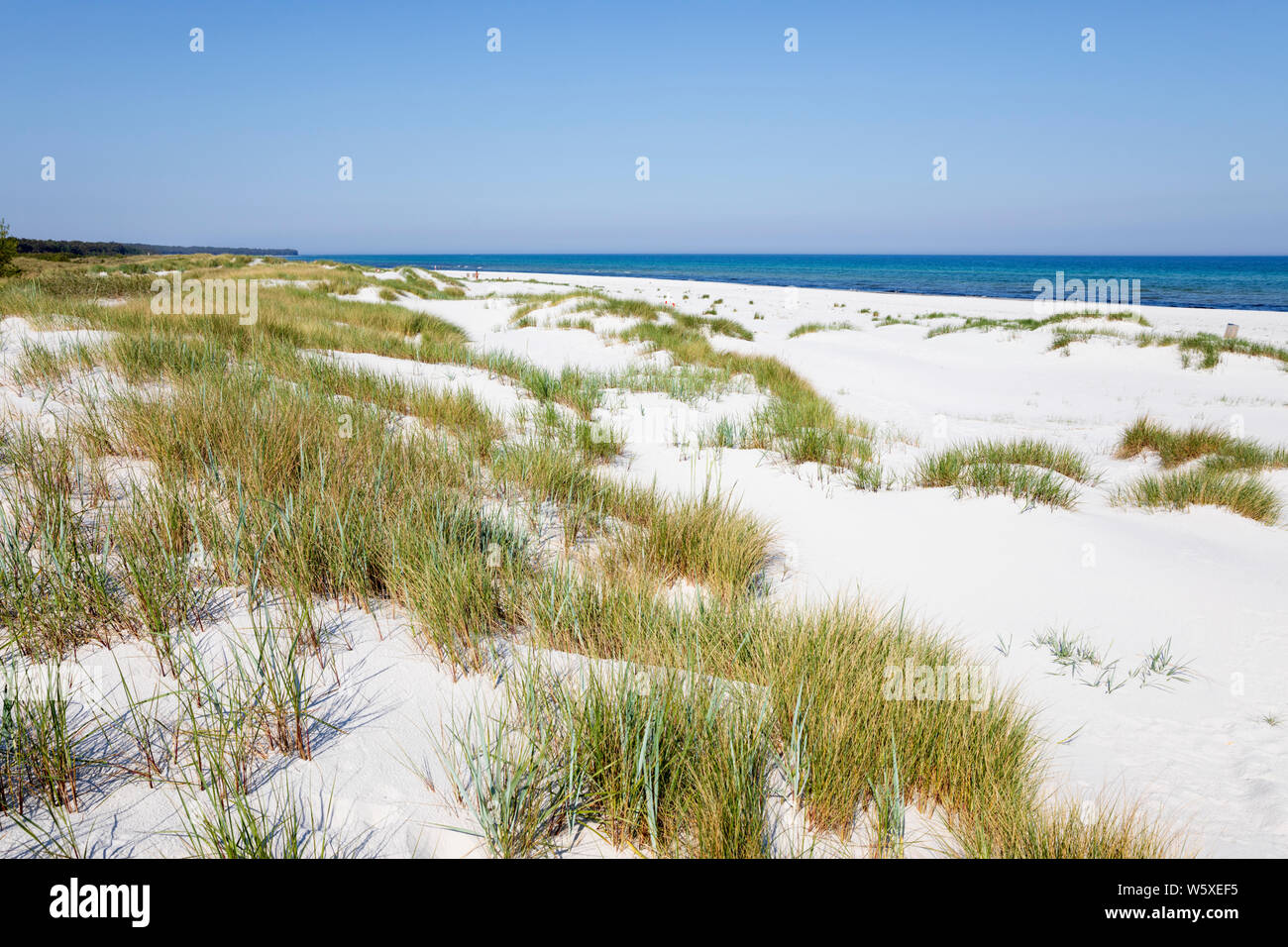 White sand beach of Dueodde on island's south coast, Dueodde, Bornholm ...