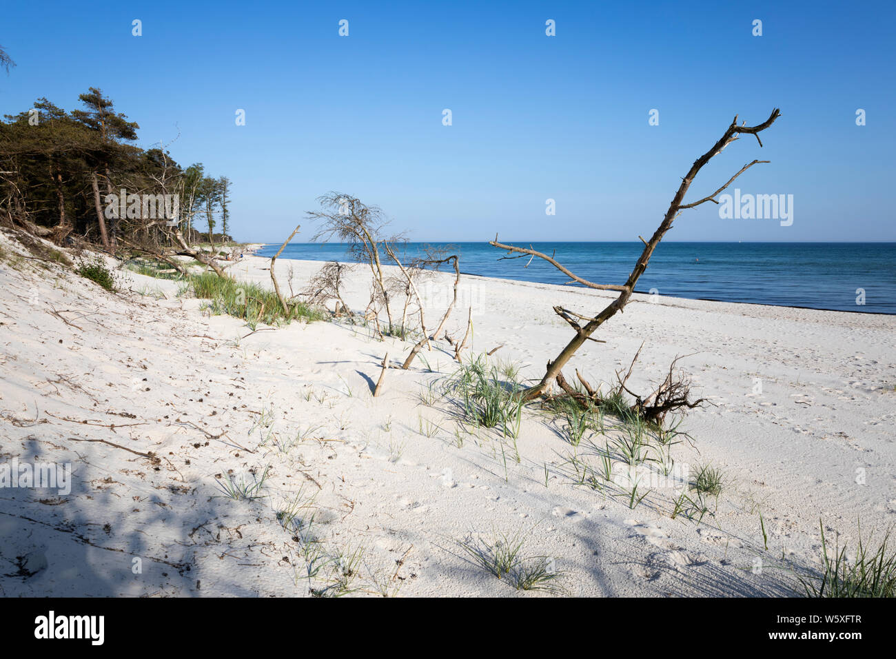 White sand beach of Dueodde on island's south coast, Dueodde, Bornholm ...