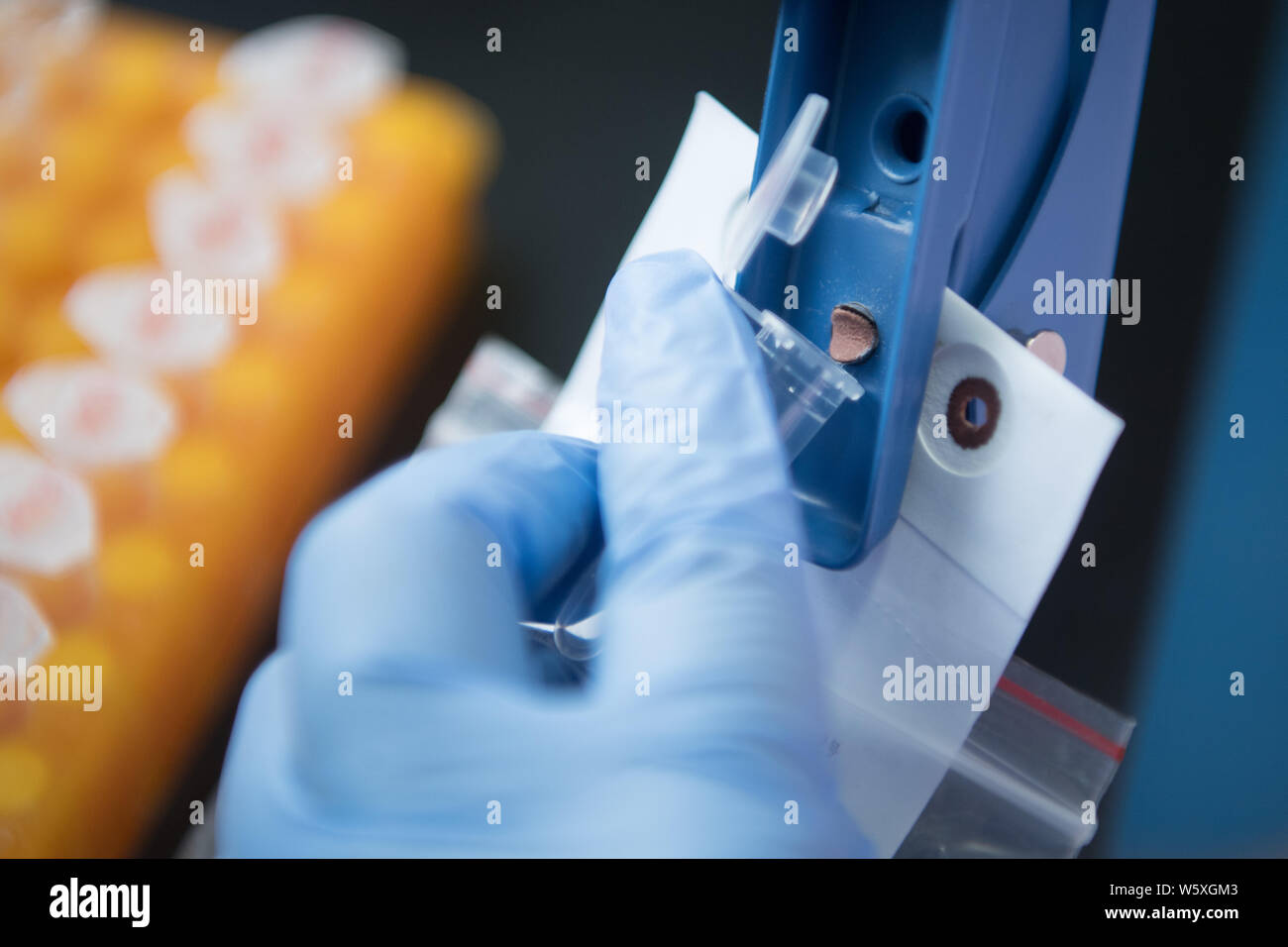 A Chinese medical worker performs genetic testing on fertilized eggs or ...