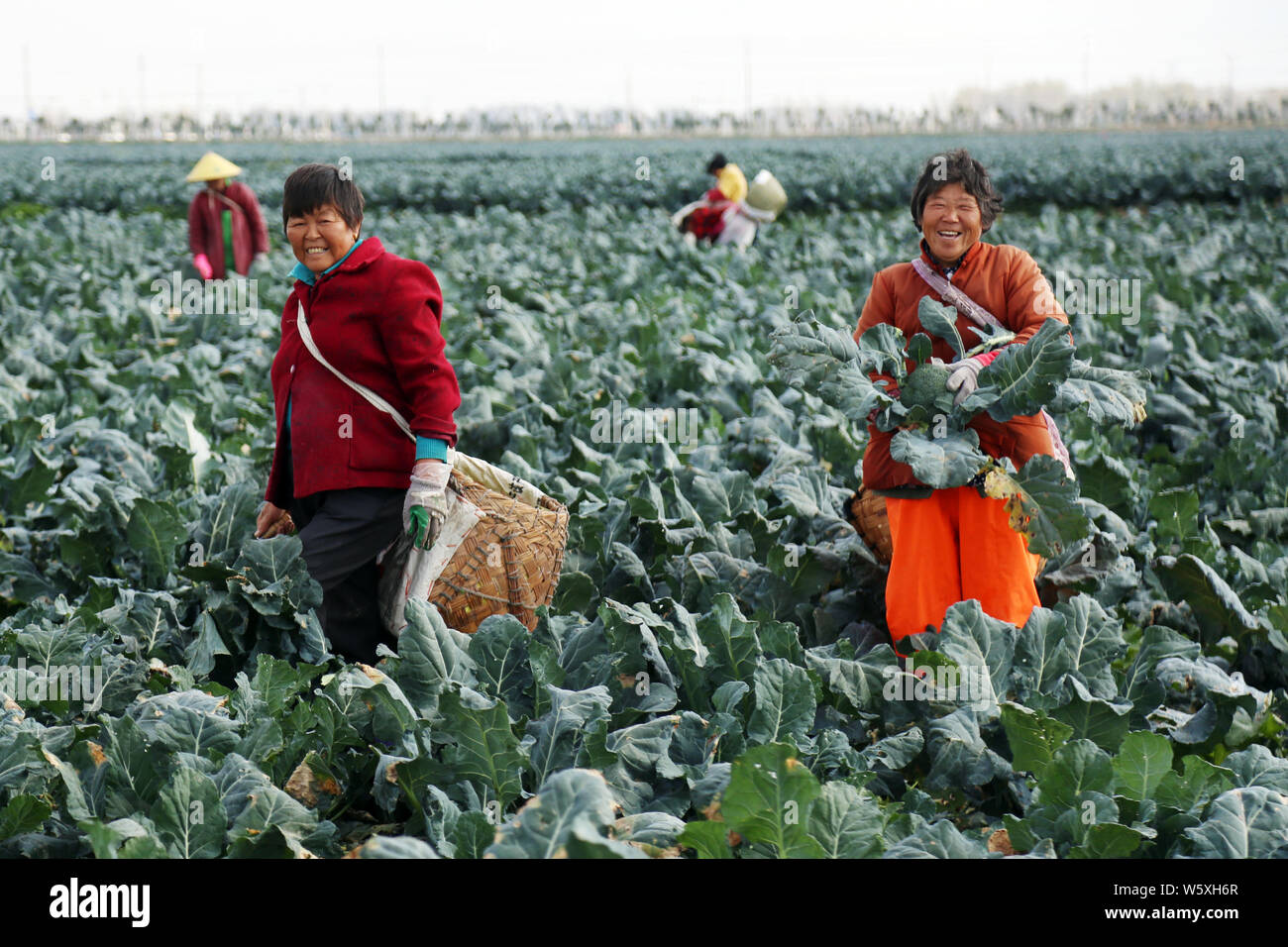 Xiangshui hi-res stock photography and images - Alamy