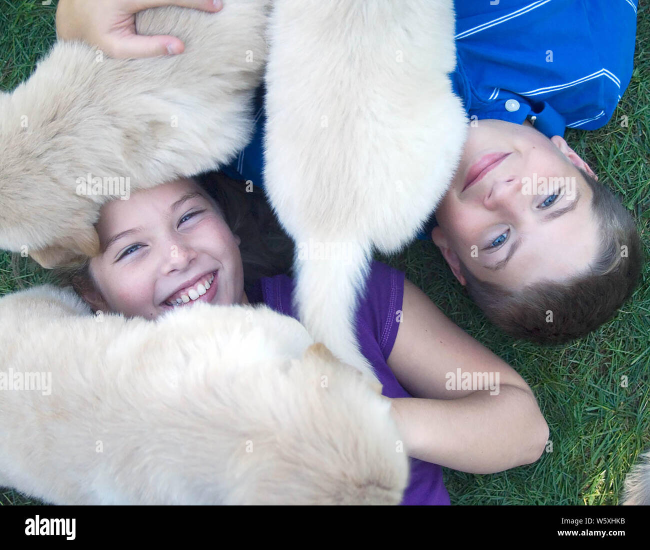 People with puppies Stock Photo - Alamy