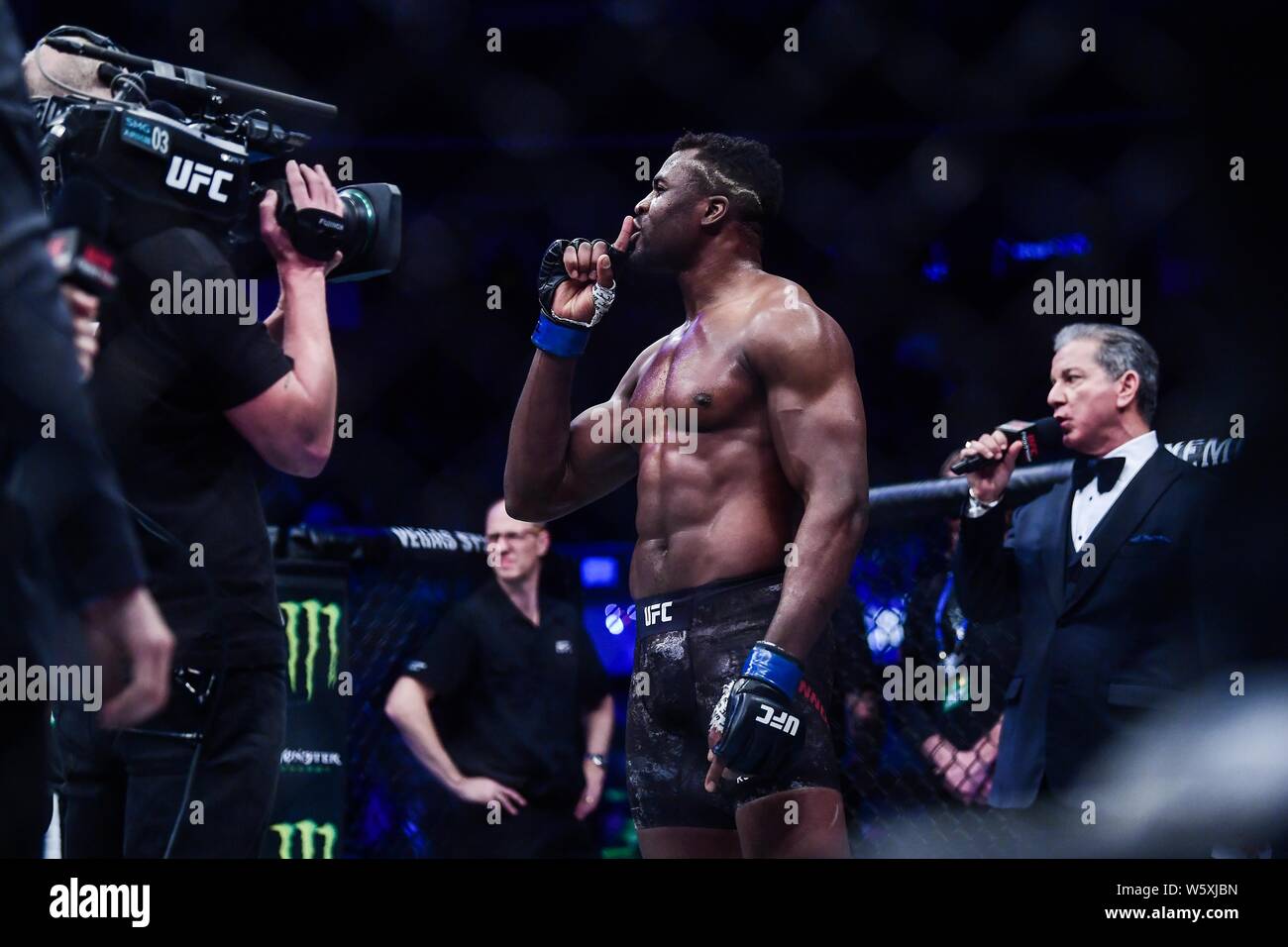 Ufc gloves hi-res stock photography and images - Alamy