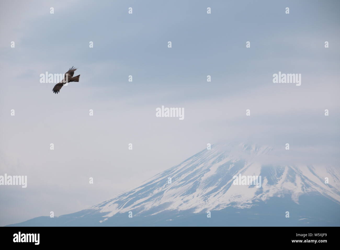 Japan mount fuji trail hi-res stock photography and images - Alamy