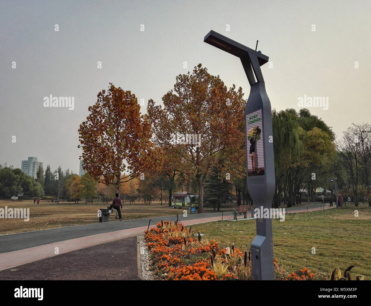 View of a smart walkway tracking people's steps using facial ...