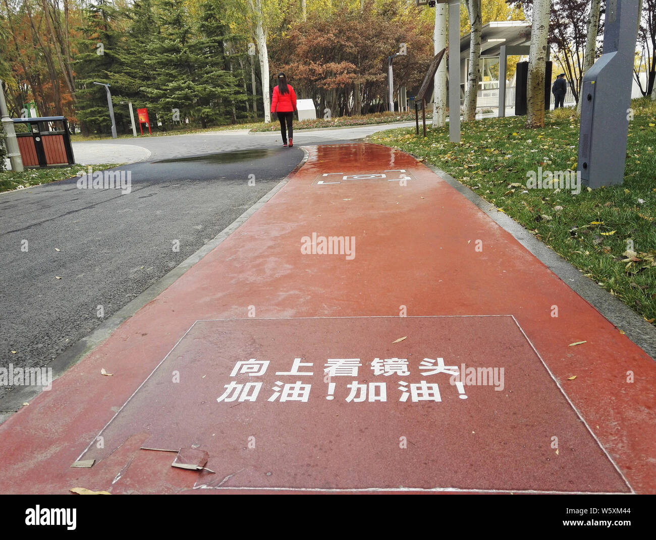 View of a smart walkway tracking people's steps using facial ...