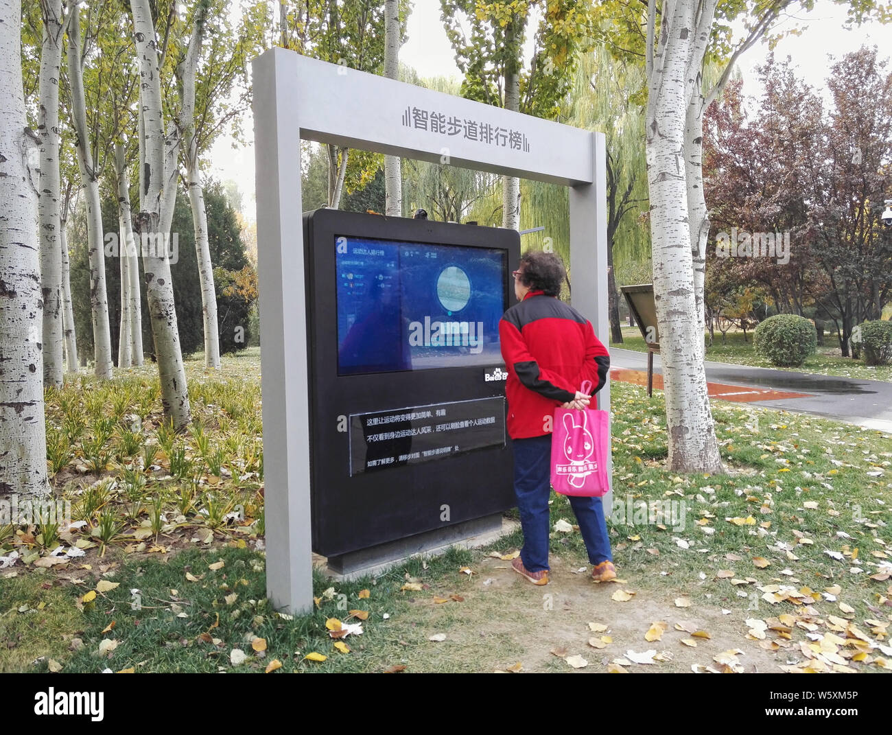 View of a smart walkway tracking people's steps using facial ...