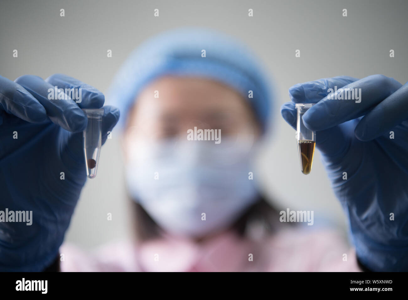 A Chinese medical worker shows human embryos as she performs genetic ...