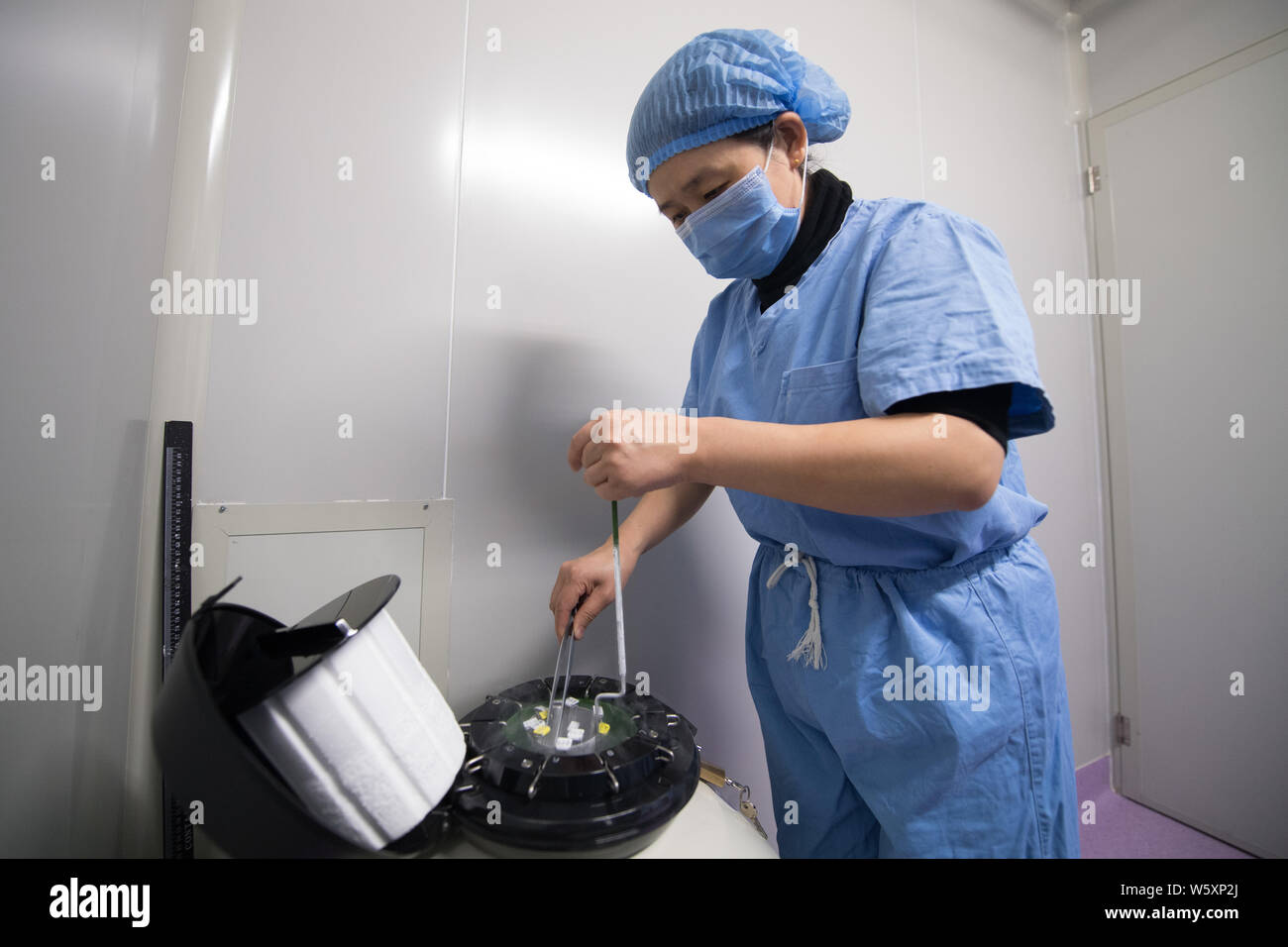 A Chinese medical worker performs genetic testing on fertilized eggs or ...