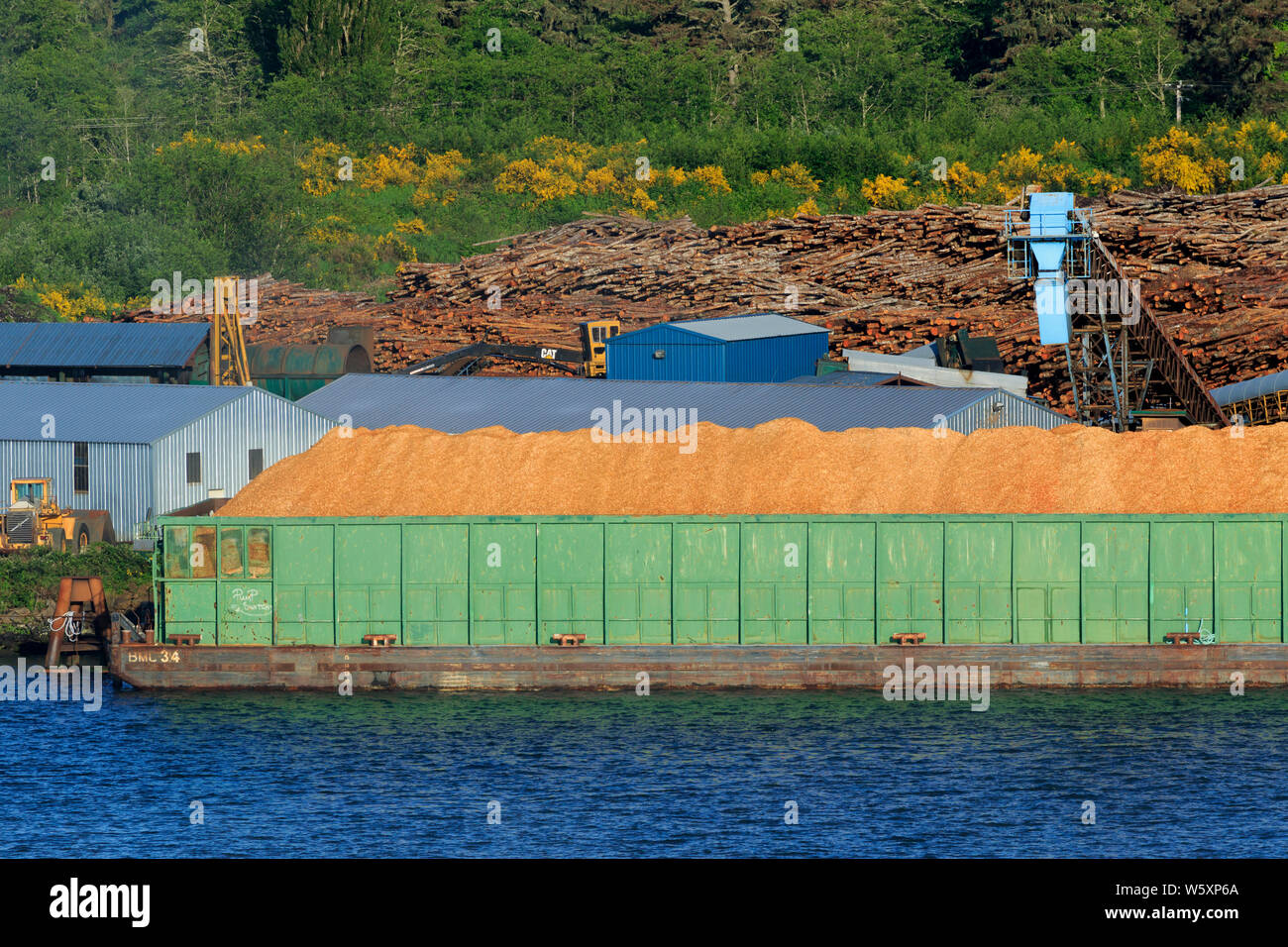 Wood chipping mill in Fort Stevens,Astoria, Oregon, USA Stock Photo - Alamy