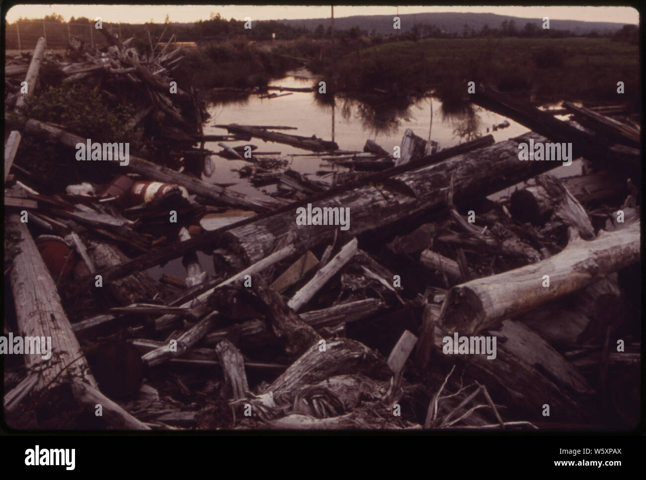 SOLID WASTE DUMPED INTO A ROADSIDE POND IN THE LOWER SNOHOMISH RIVER ...