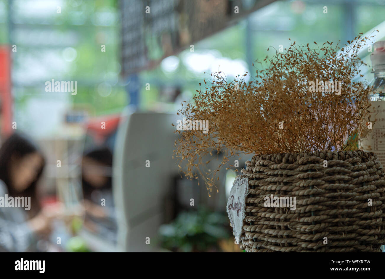 In the summer. It's in the cafe. Grass woven frame inside is the plant ...