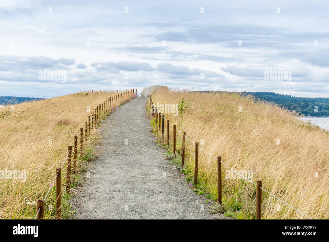 A dirt path leads up a small hill at Dune Peninsula Park in Tacoma ...