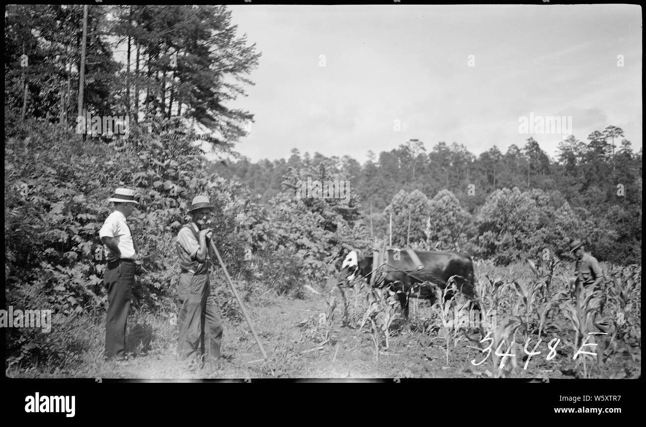 Seabolt hi-res stock photography and images - Alamy