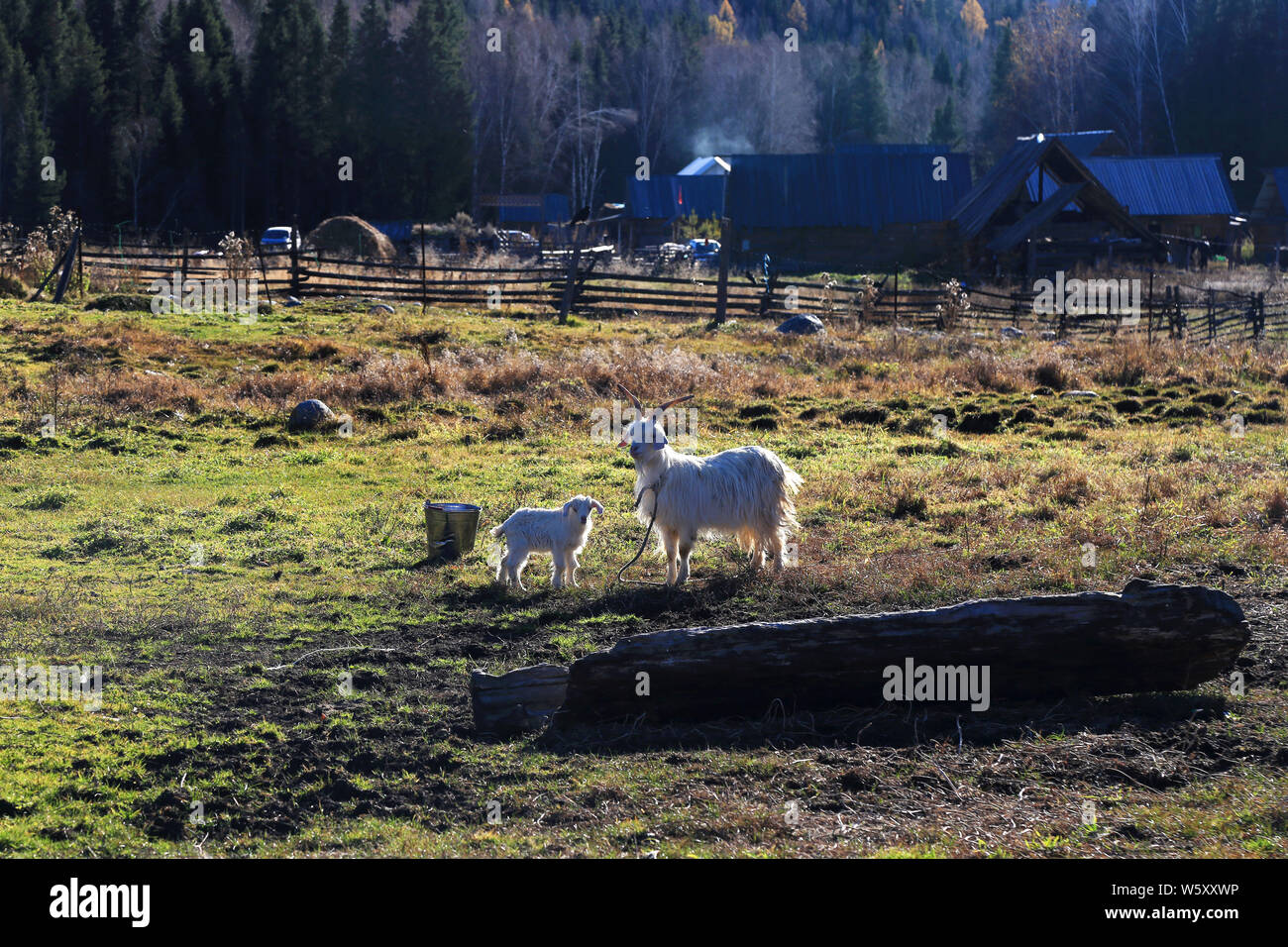 Landscape of the Hemu village, one of the six most beautiful villages ...