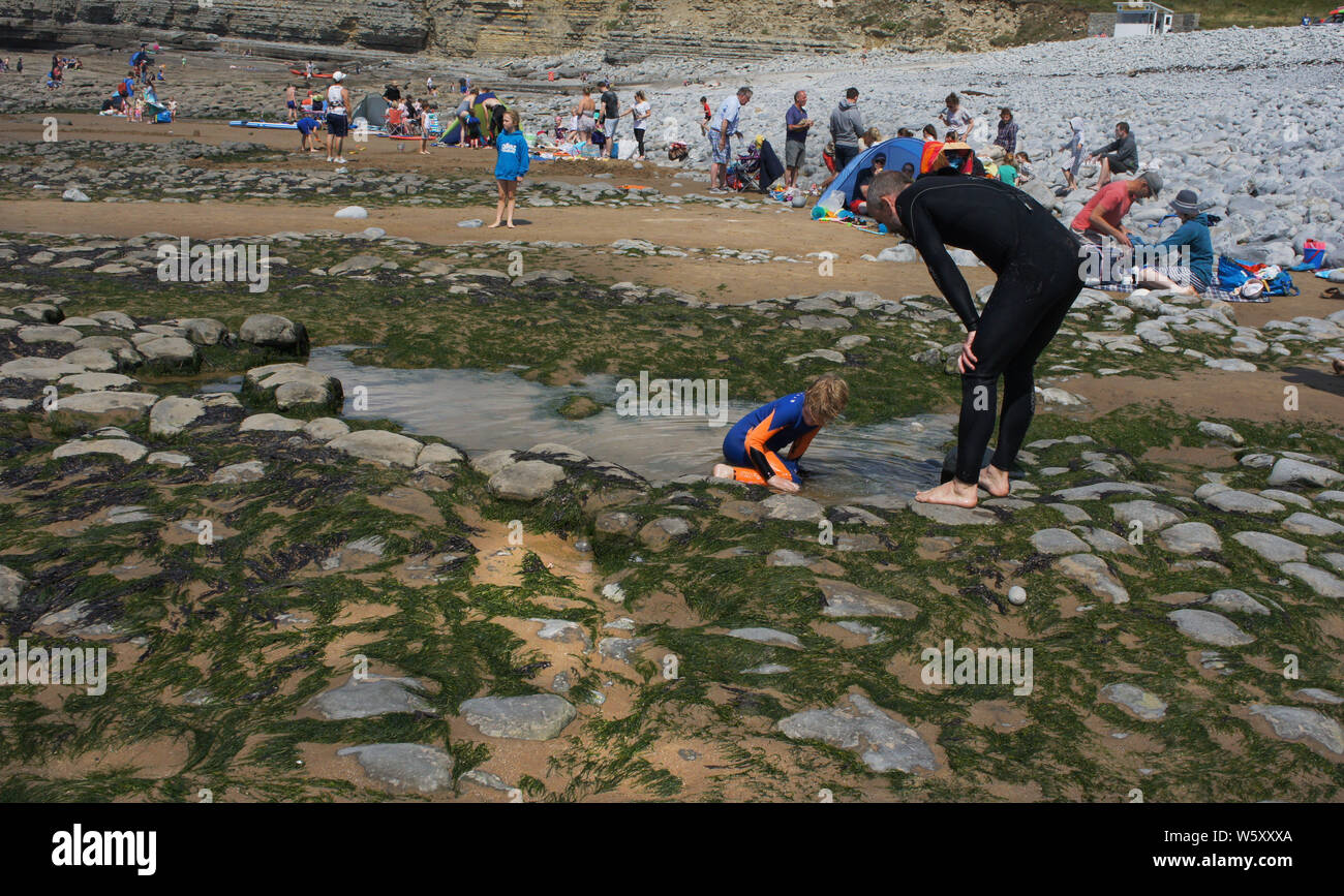 Rock pool rockpool seaweed hi-res stock photography and images - Alamy