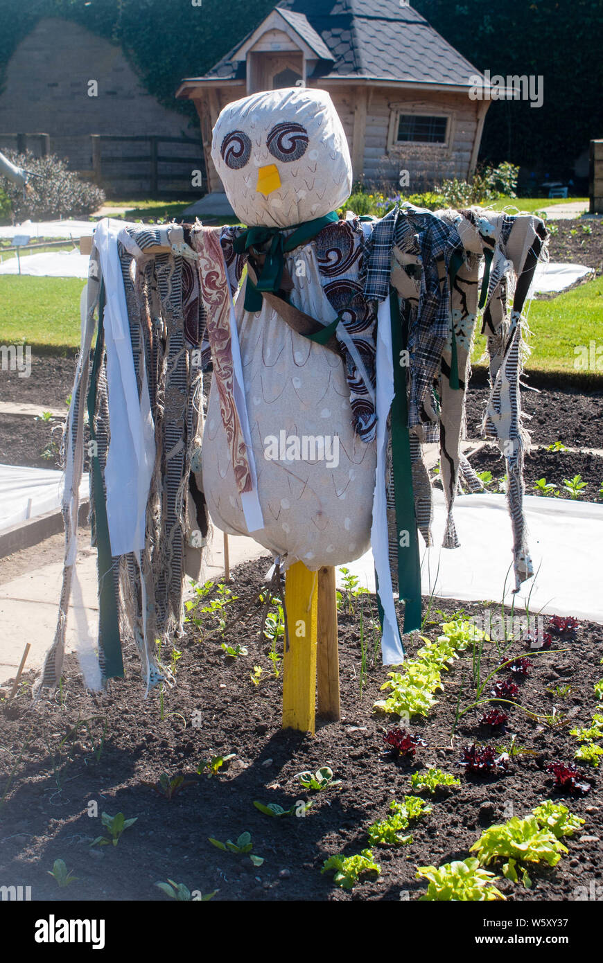 Scarecrow birds hi-res stock photography and images - Alamy
