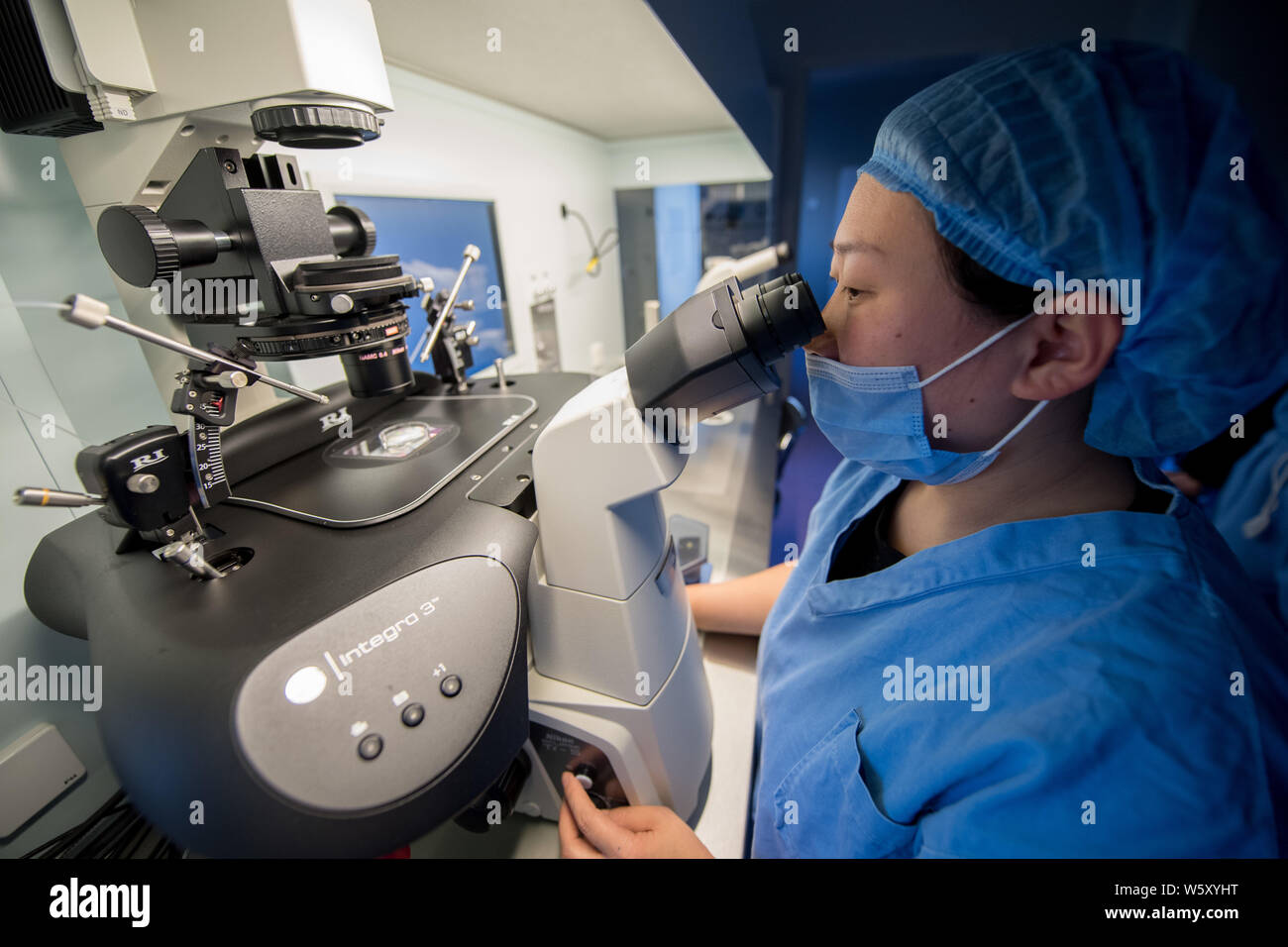 A Chinese medical worker performs genetic testing on fertilized eggs or ...