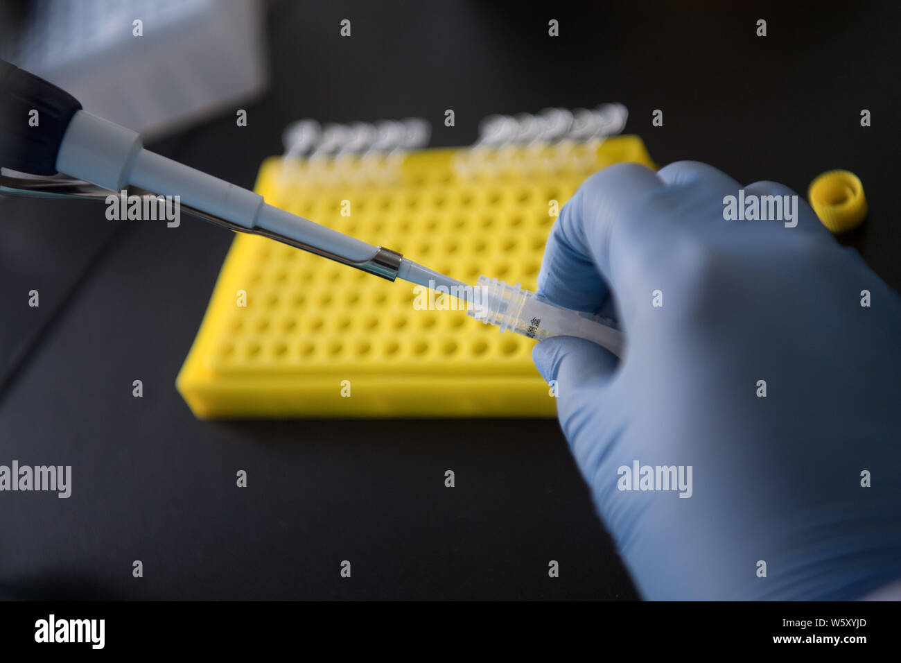 Genetic testing lab hi-res stock photography and images - Alamy