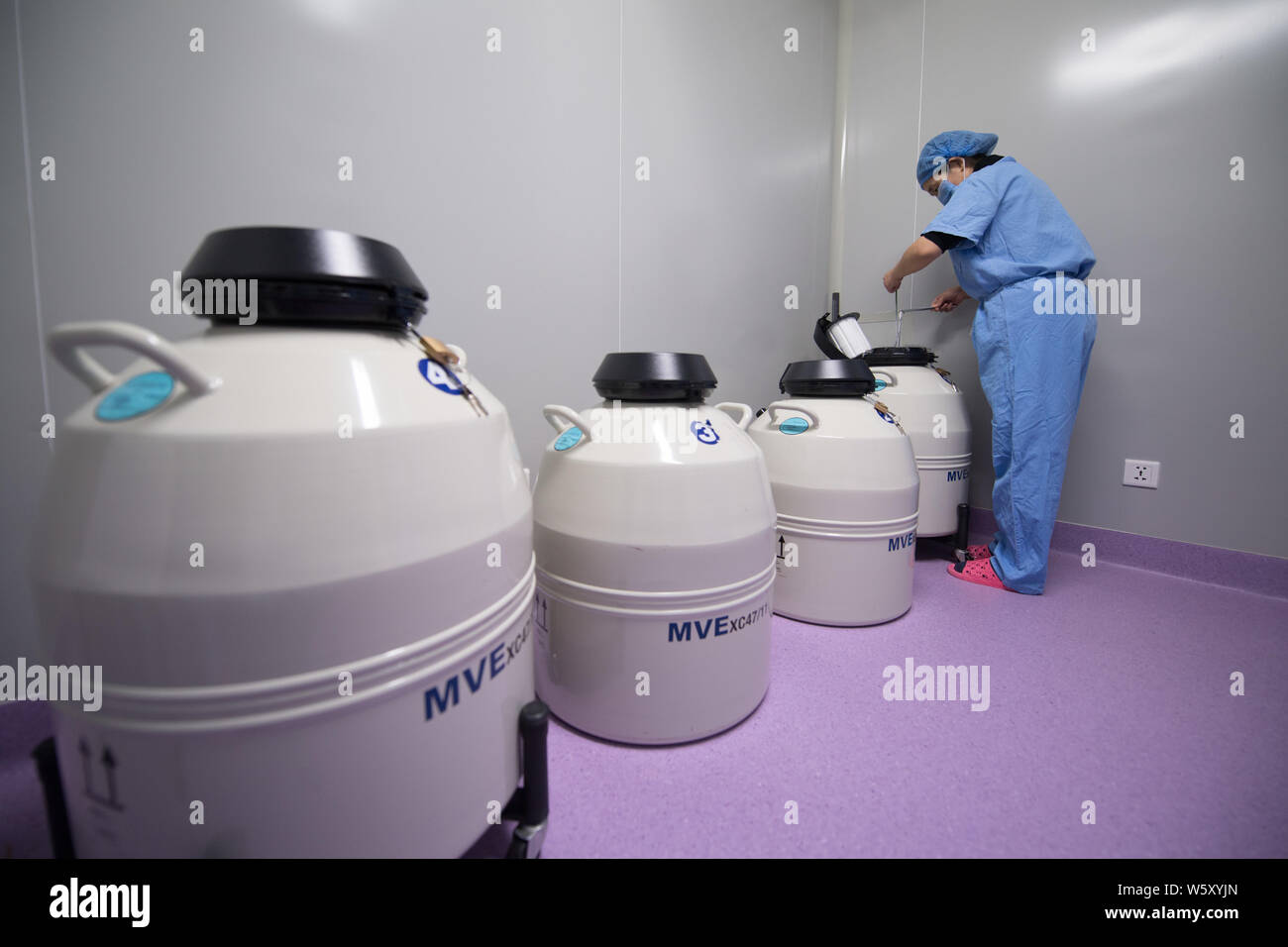 A Chinese medical worker performs genetic testing on fertilized eggs or ...