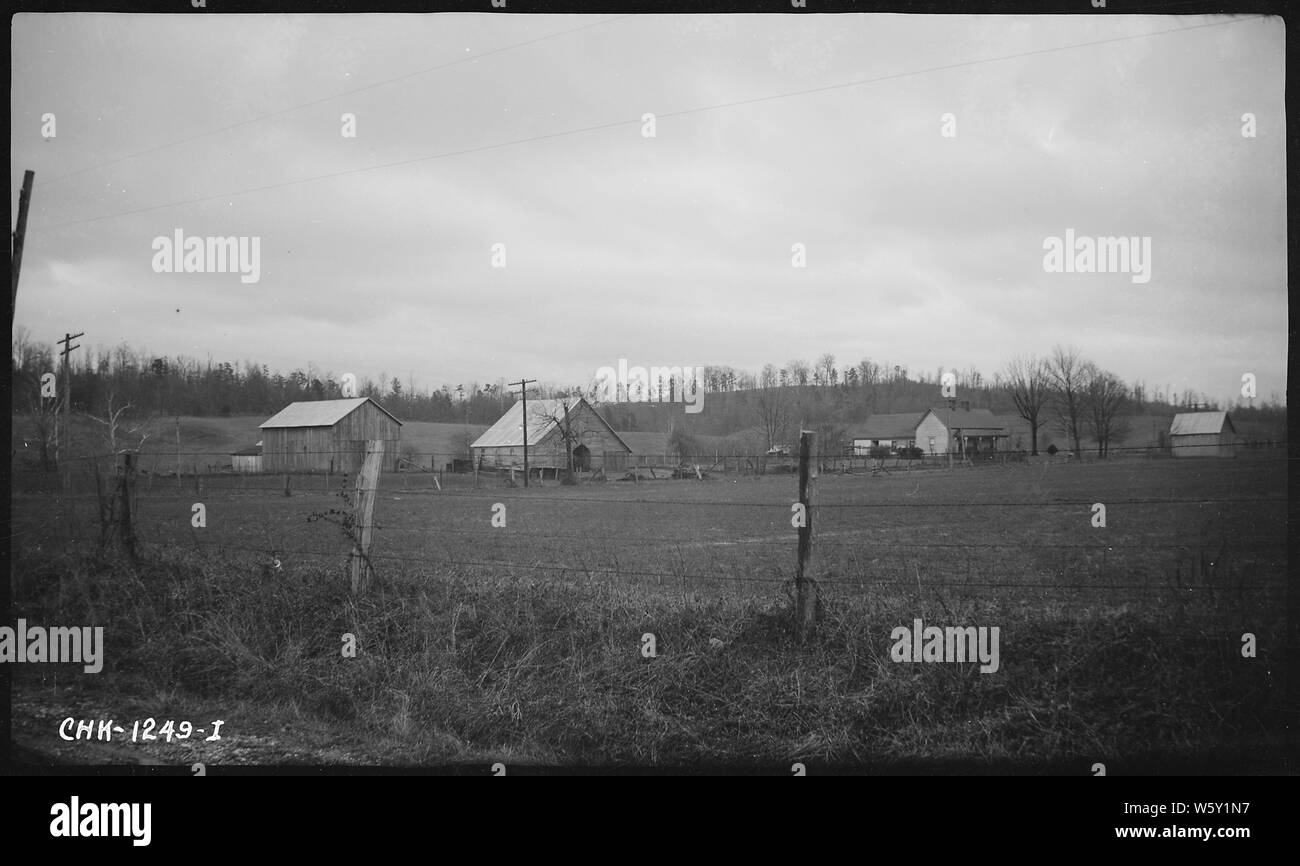 Spriggs hi-res stock photography and images - Alamy