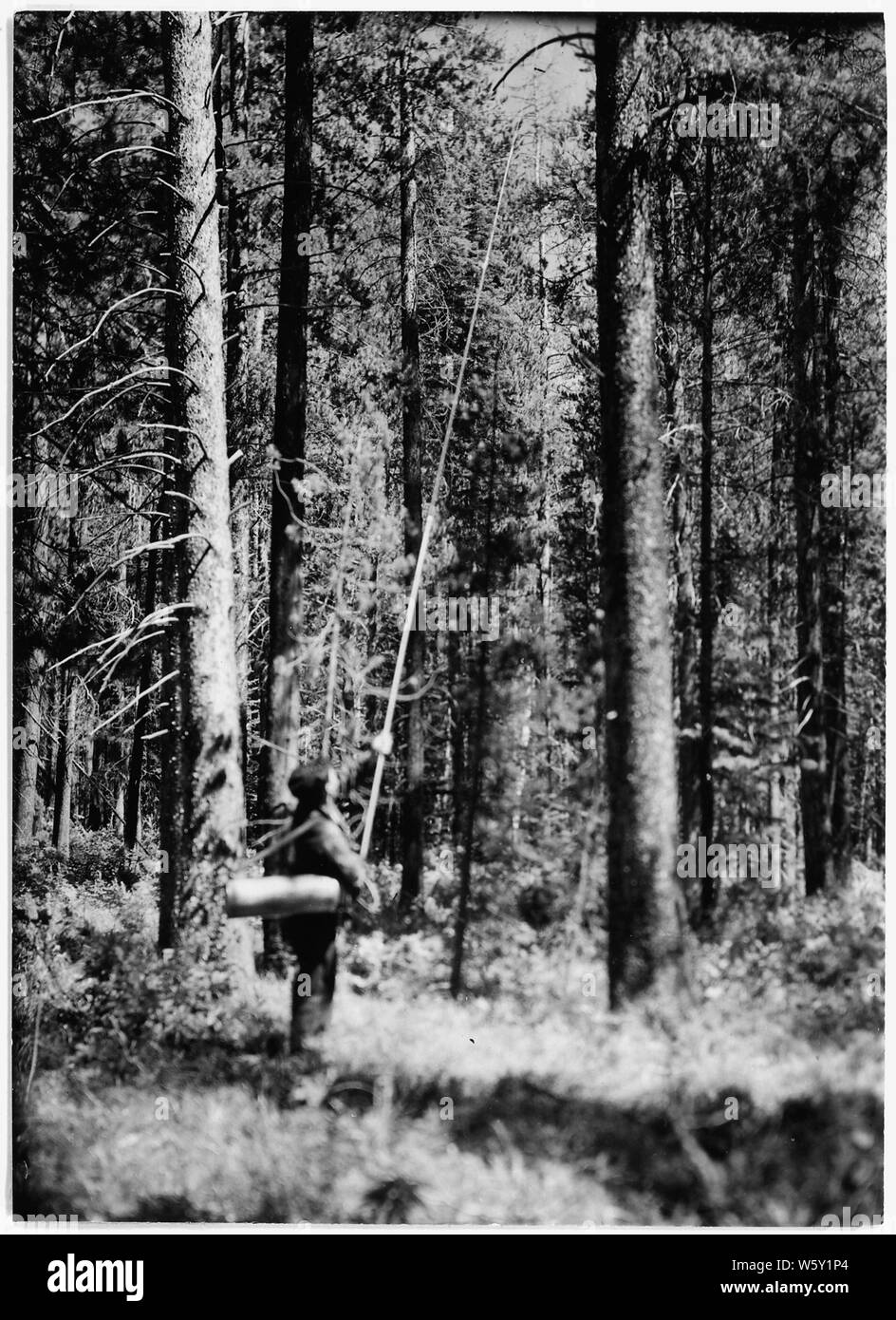 Long extension Black and White Stock Photos & Images - Alamy