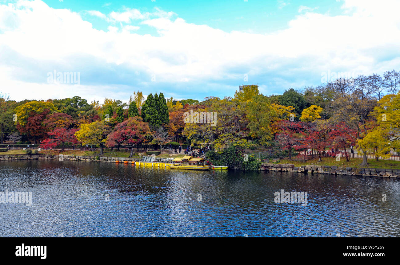 The beautiful autumn foliage of gingko trees and maple trees in the ...