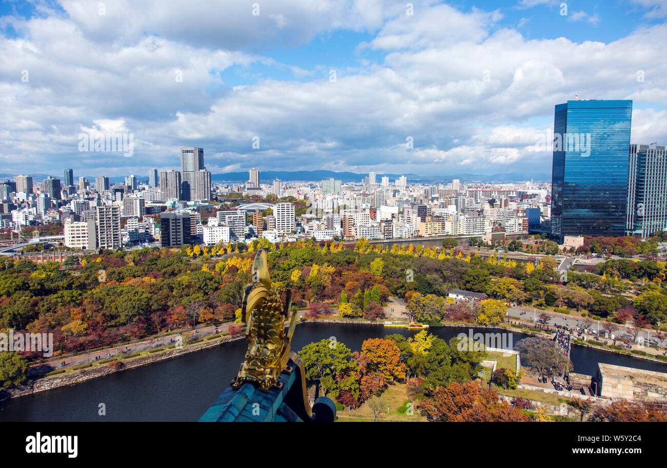 The beautiful autumn foliage of gingko trees and maple trees against ...