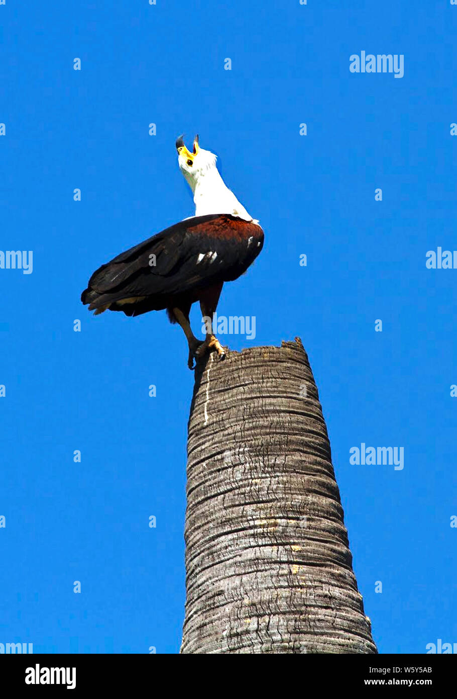 Regular and reserve hi-res stock photography and images - Alamy