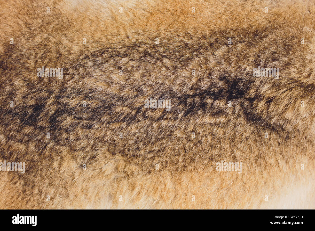 Texture of natural rabbit fur close-up. Background Stock Photo - Alamy