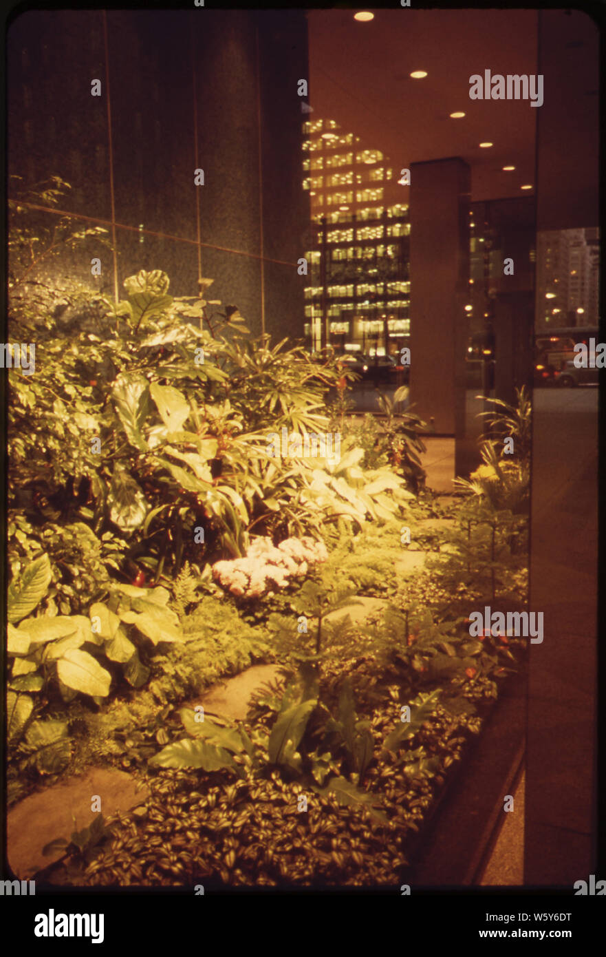 THE SPECTACULAR INDOOR GARDEN OF THE EQUITABLE LIFE ASSURANCE SOCIETY ...