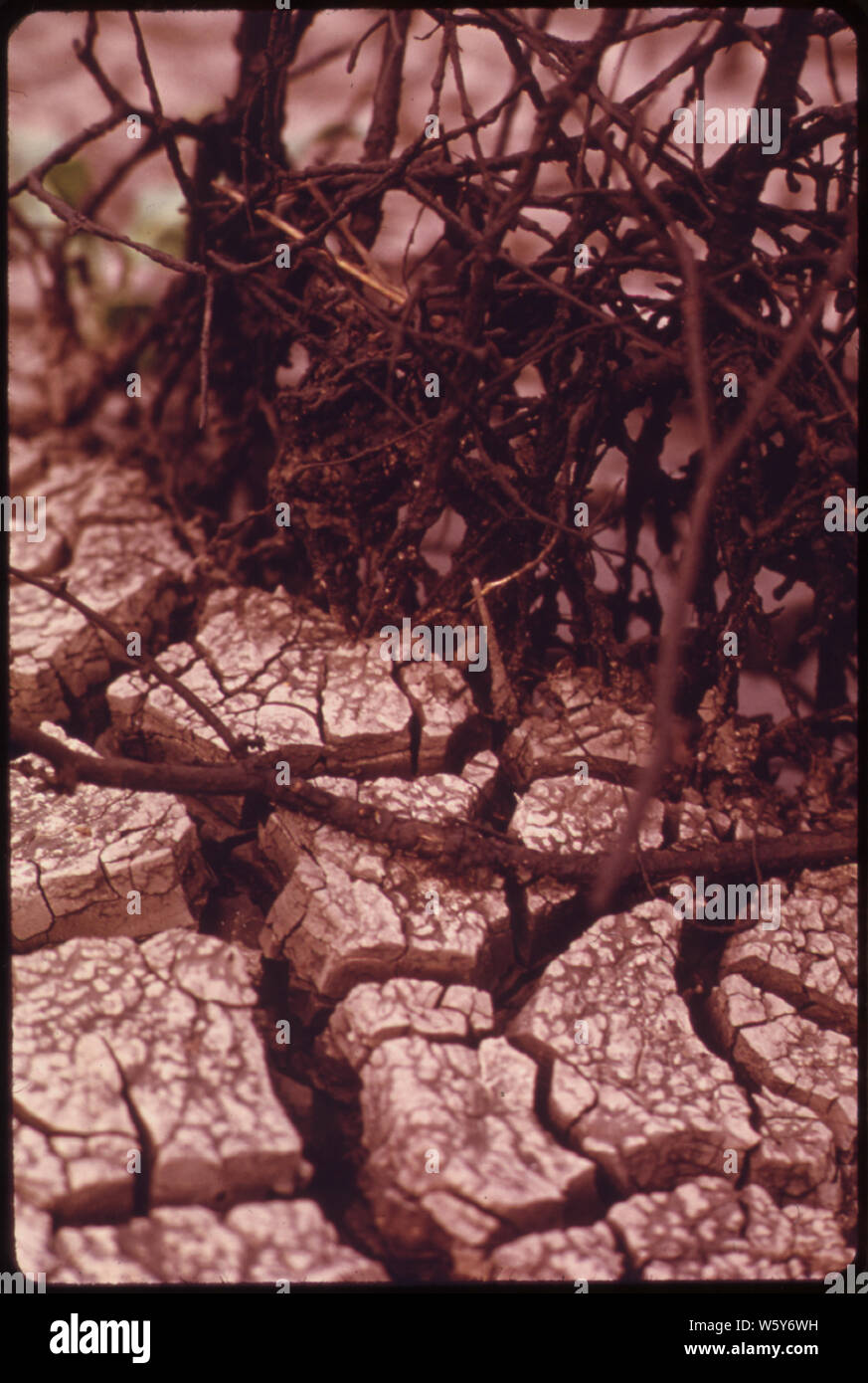 Brush discharge hi-res stock photography and images - Alamy