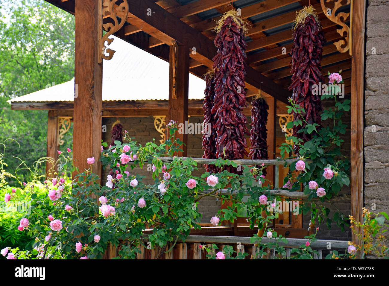New Mexico Red Chili Ristras Stock Photo - Alamy