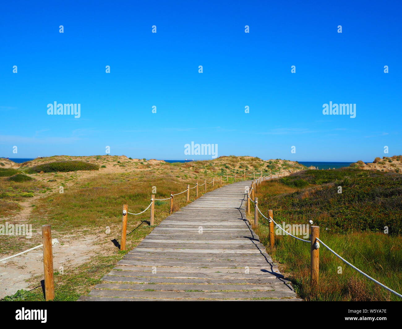 Highlight on dunes hi-res stock photography and images - Alamy