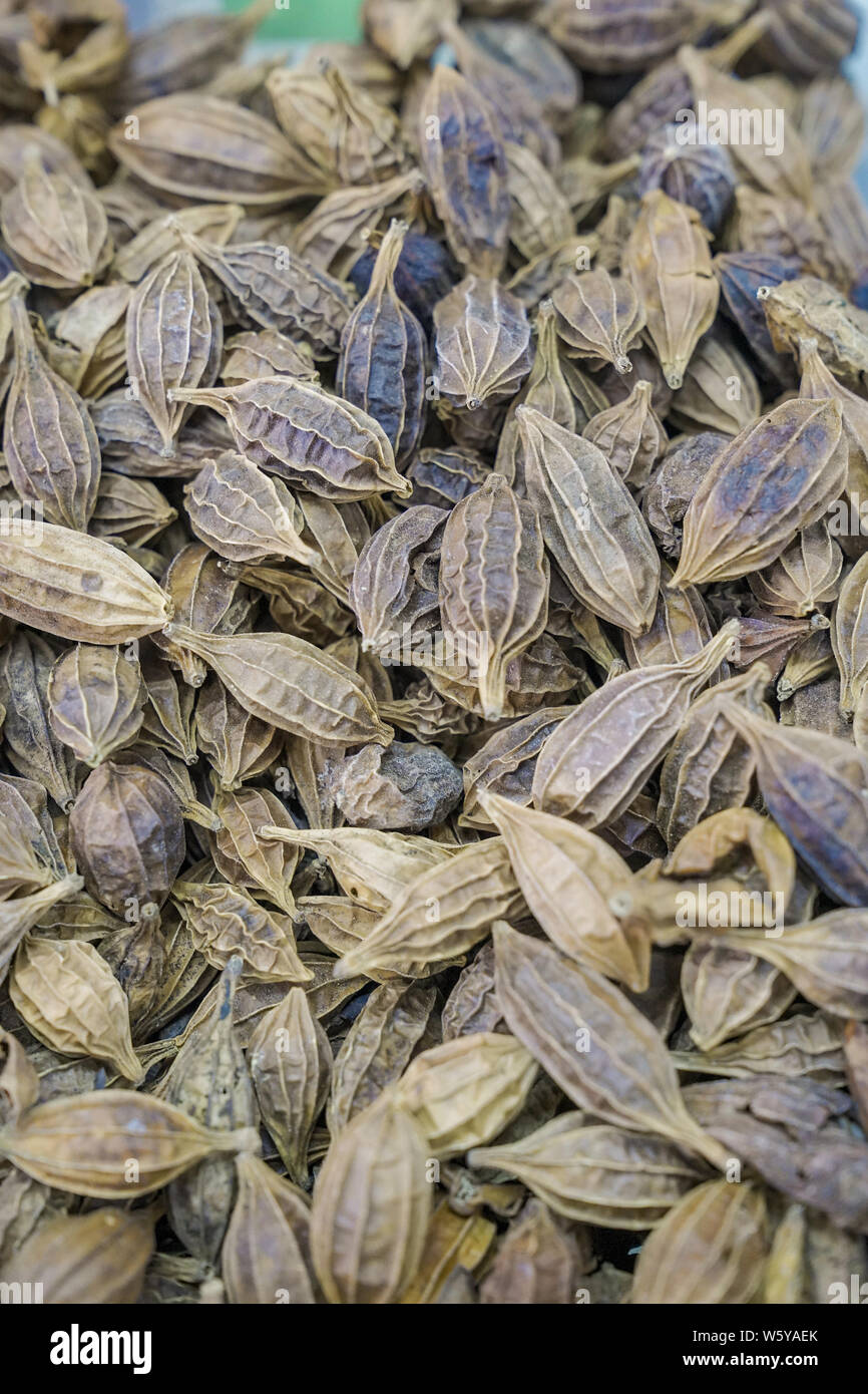 Close up of fresh green herbs in bangkok hi-res stock photography and ...