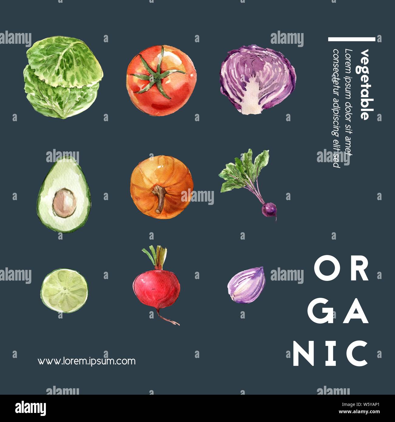 vegetable watercolor paint collection. Fresh food organic decor healthy ...