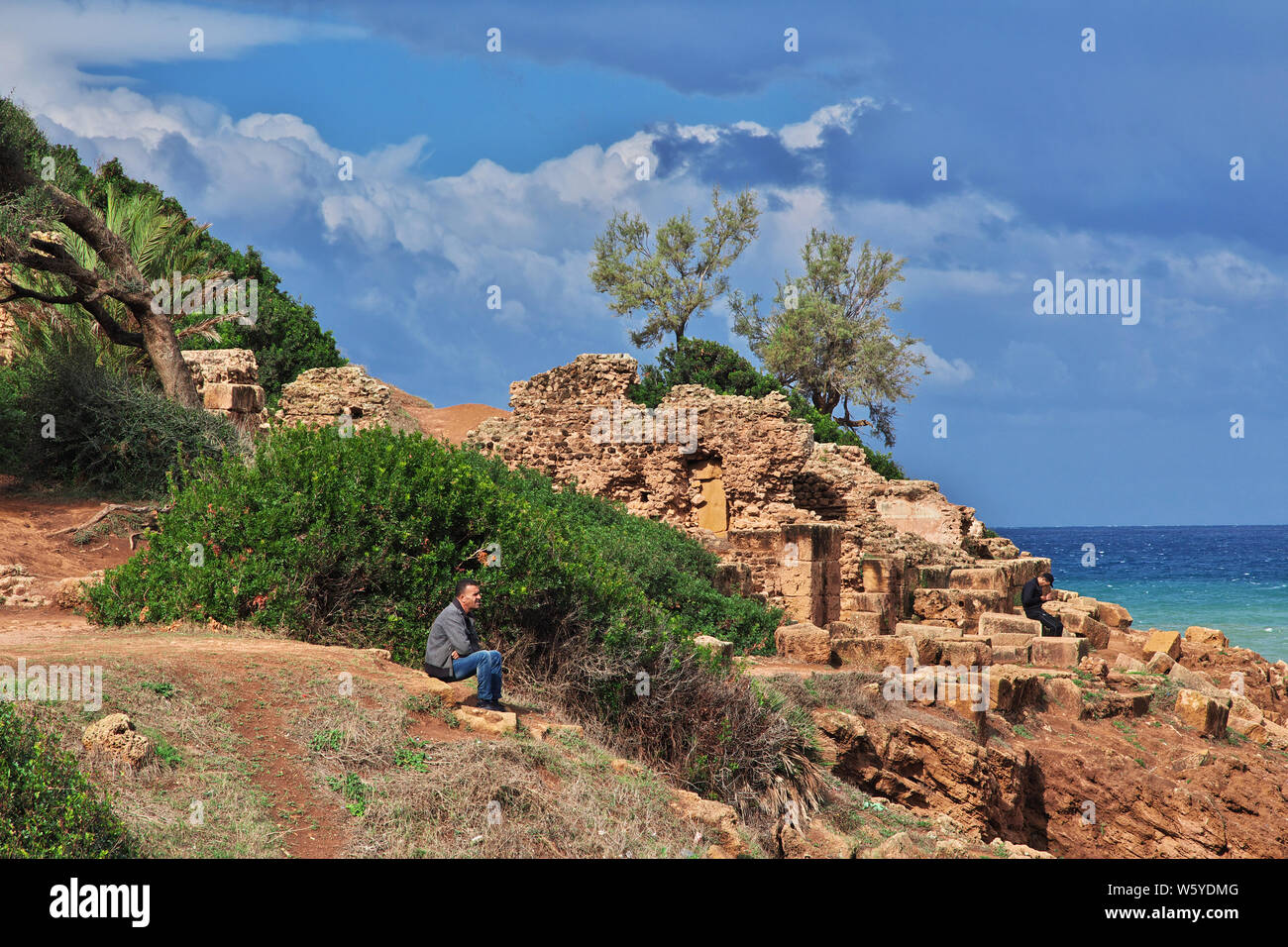 Tipaza Roman ruins in Algeria, Africa Stock Photo - Alamy