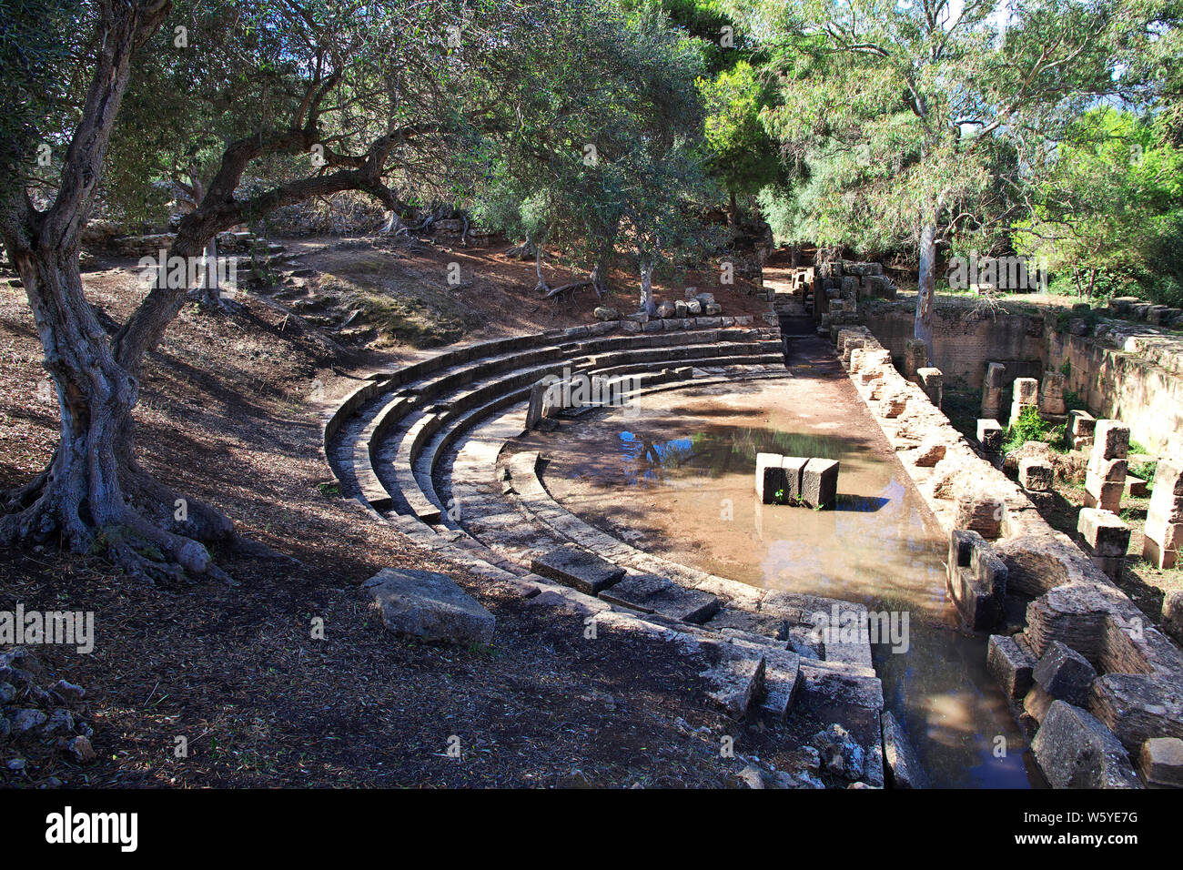 Tipaza Roman ruins in Algeria, Africa Stock Photo - Alamy