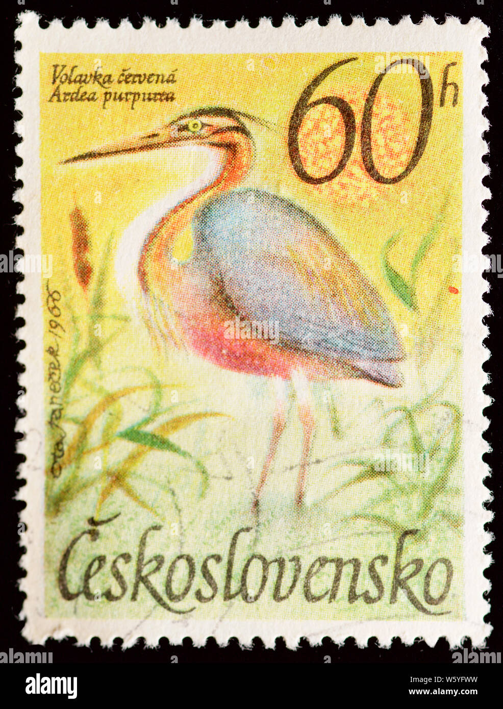 Czechoslovakia Postage Stamp - Bird Stock Photo - Alamy
