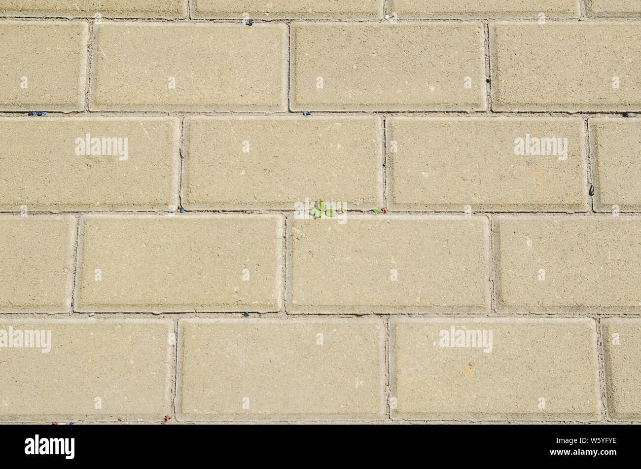 Beige bricks hi-res stock photography and images - Alamy