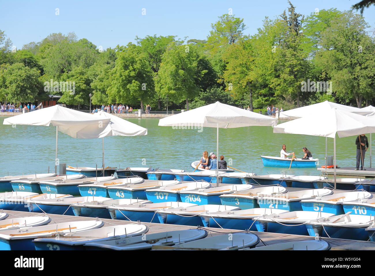 Boat rowing el retiro park madrid hi-res stock photography and images ...
