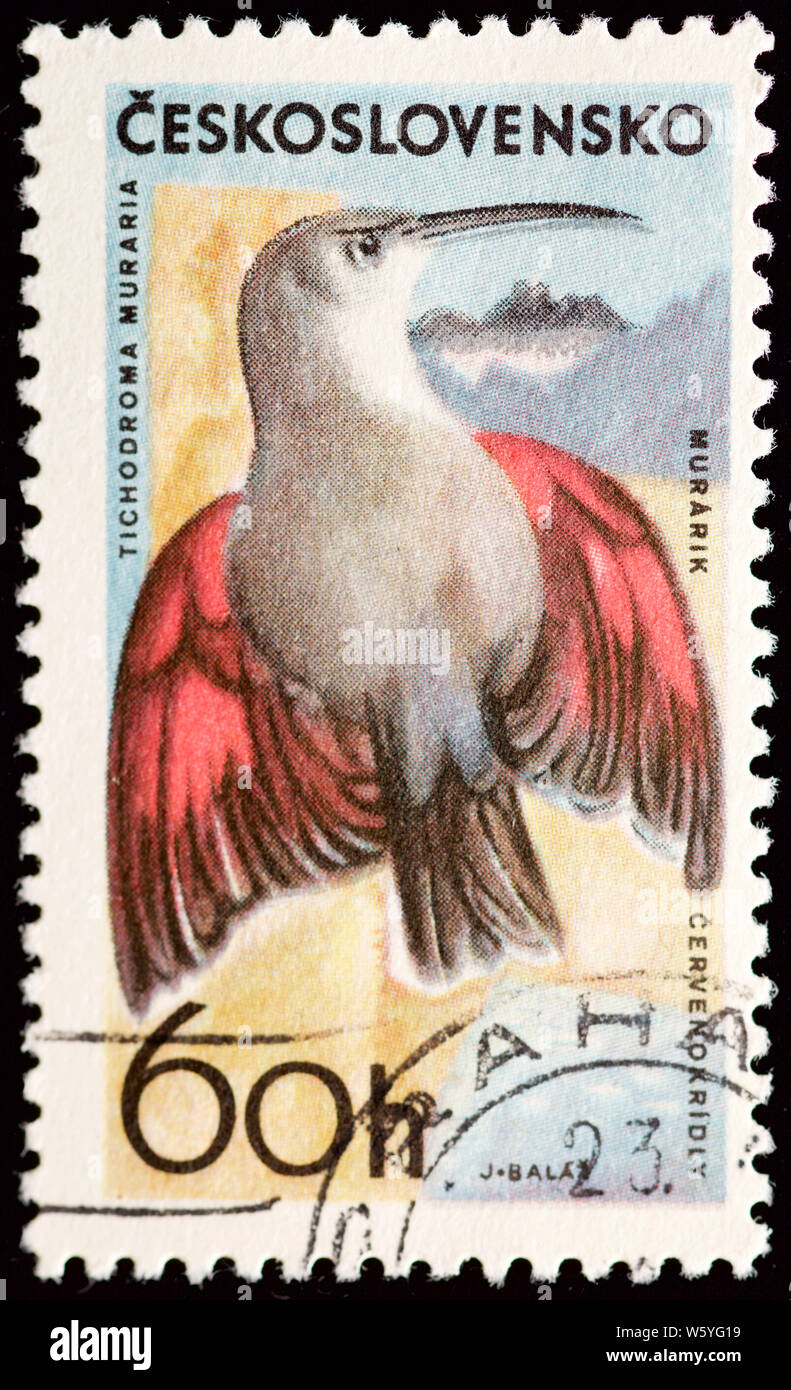Czechoslovakia Postage Stamp - Bird Stock Photo - Alamy