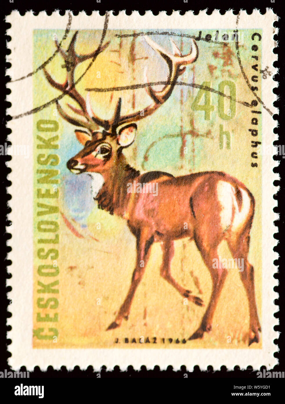 Czechoslovakia Postage Stamp - red deer Stock Photo - Alamy