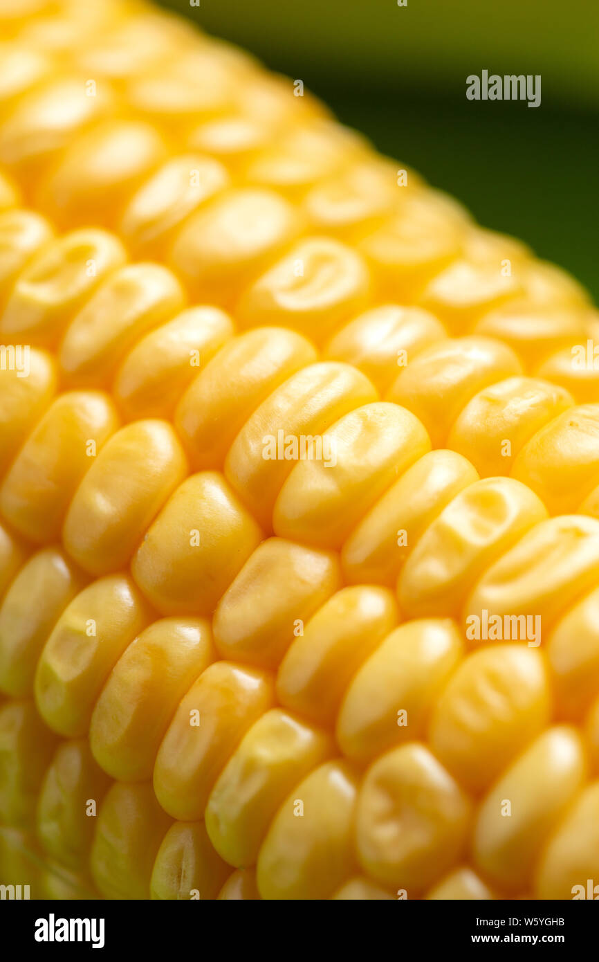 Fresh grains hi-res stock photography and images - Alamy